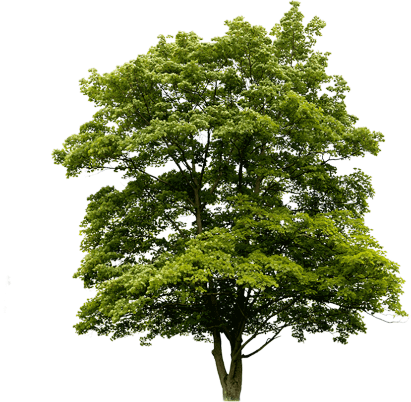 About us – Nile Fiber